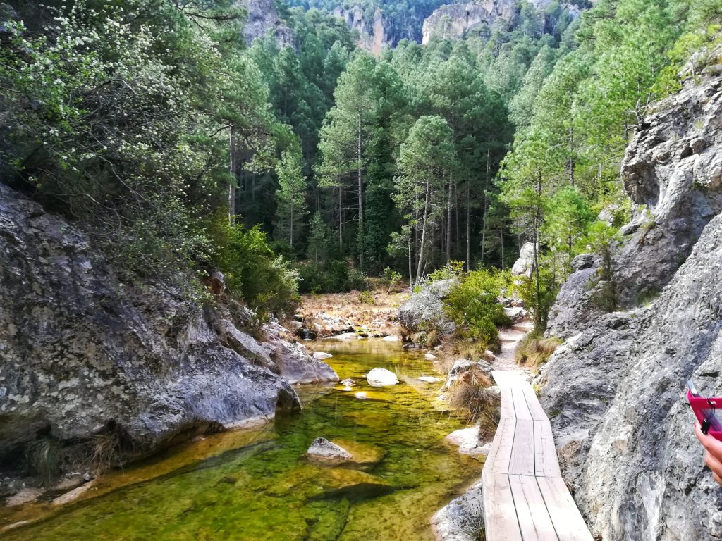 El parrizal de Beceite, "una belleza" entre pasarelas - Gastronomoyviajero