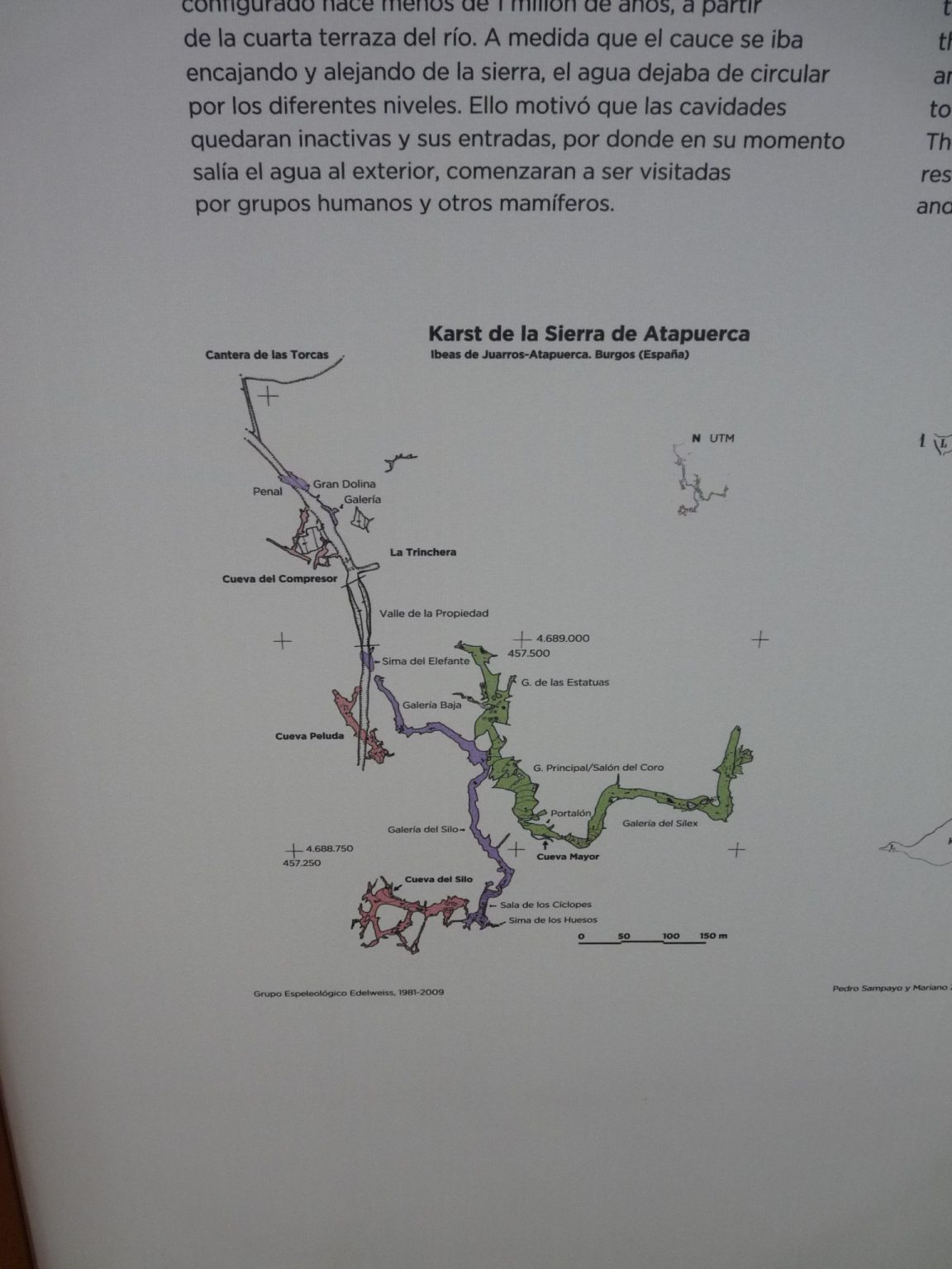 Atapuerca: los homínidos tal como éramos - Gastronomoyviajero