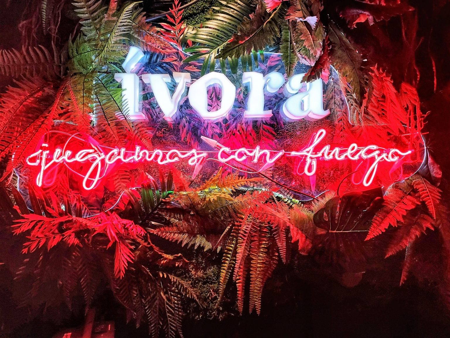 Ívora, el nuevo restaurante de Madrid que viene "a tope ...